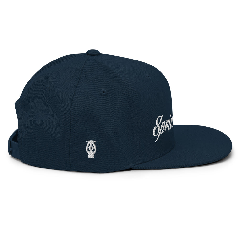 Sprinkler Life Snapback Hat